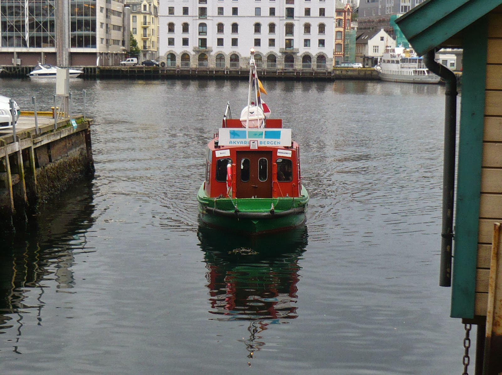 ROBERT WYATT AND STUFF: Cruising with Beffen