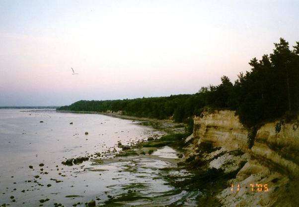 Muraste klint: Klint