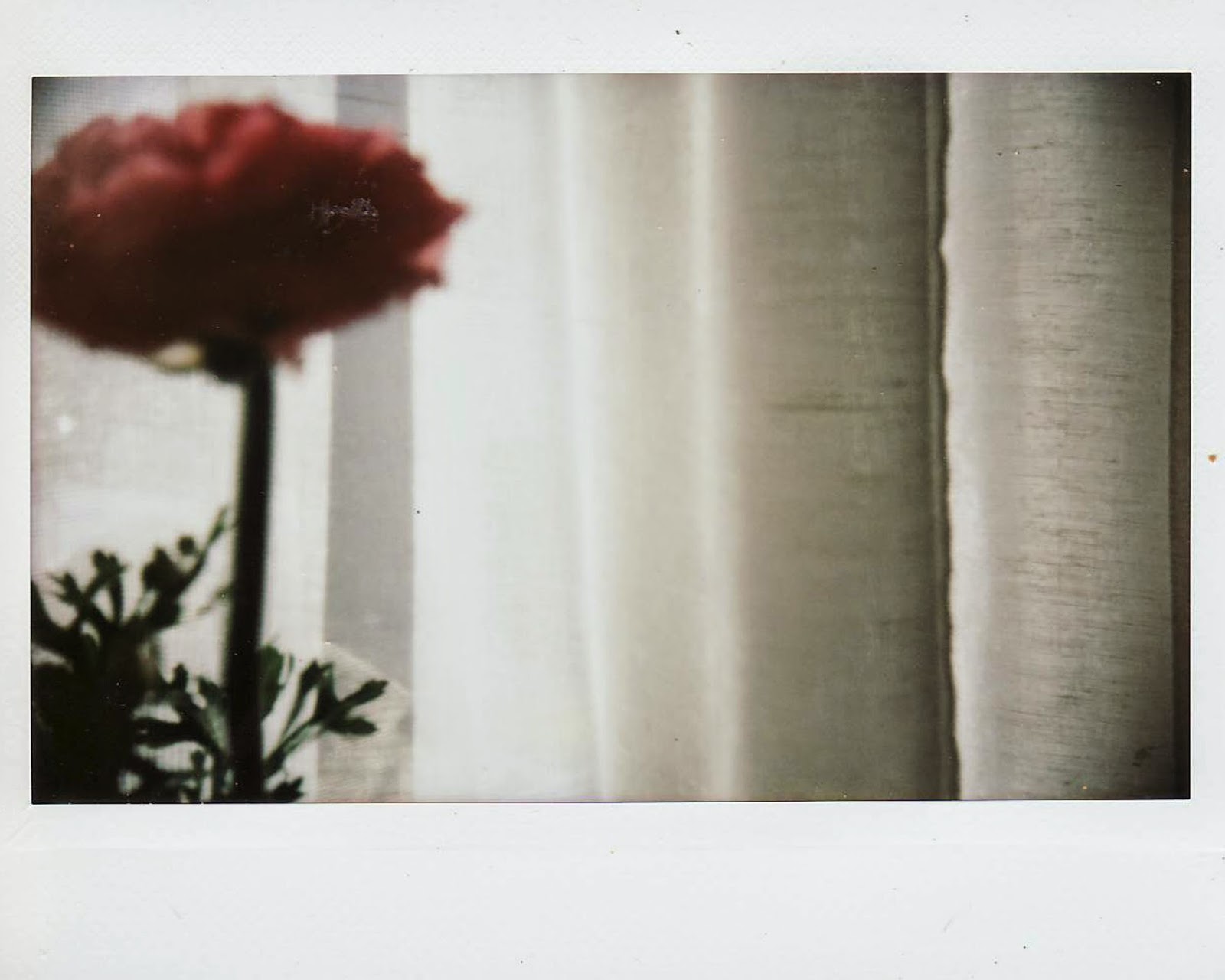 Spring, Where Are You? • [Rayne To River]