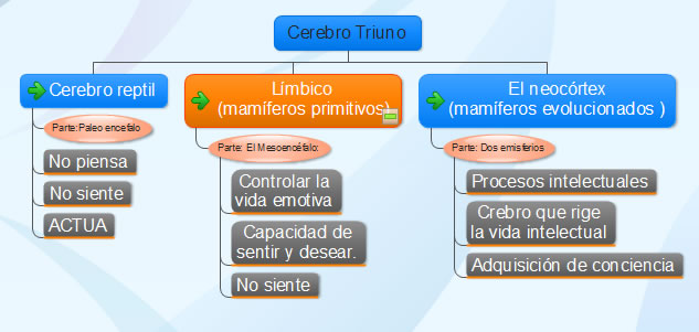 Tarea DHPC La teoría del Cerebro Triuno de Paul McLean