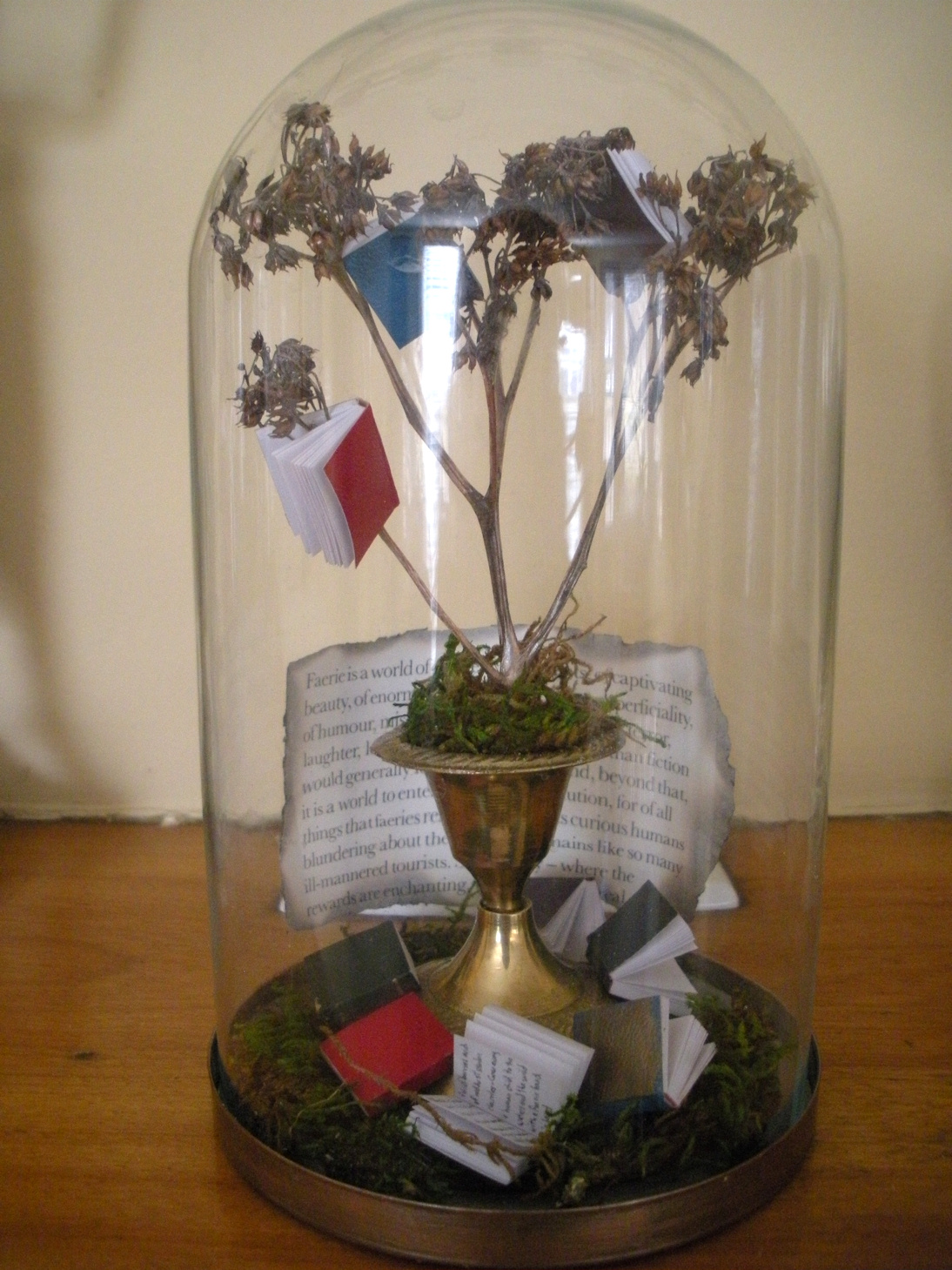 Domythic Bliss: Domythic Craft - Faerie Book Tree in a Dome
