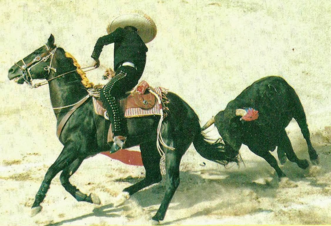 Toreros Mexicanos: septiembre 2013