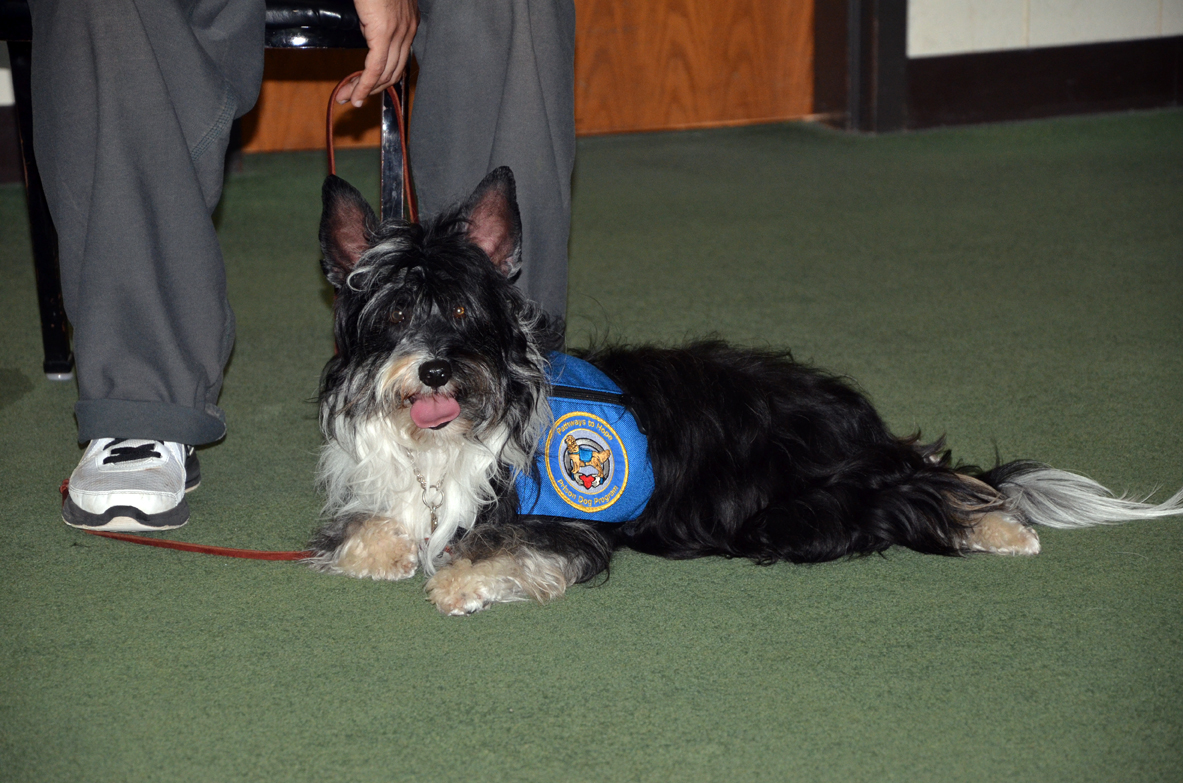 PRISON DOG PROGRAMS ~ BRIDGES and PATHWAYS of COURAGE: OSHKOSH ...