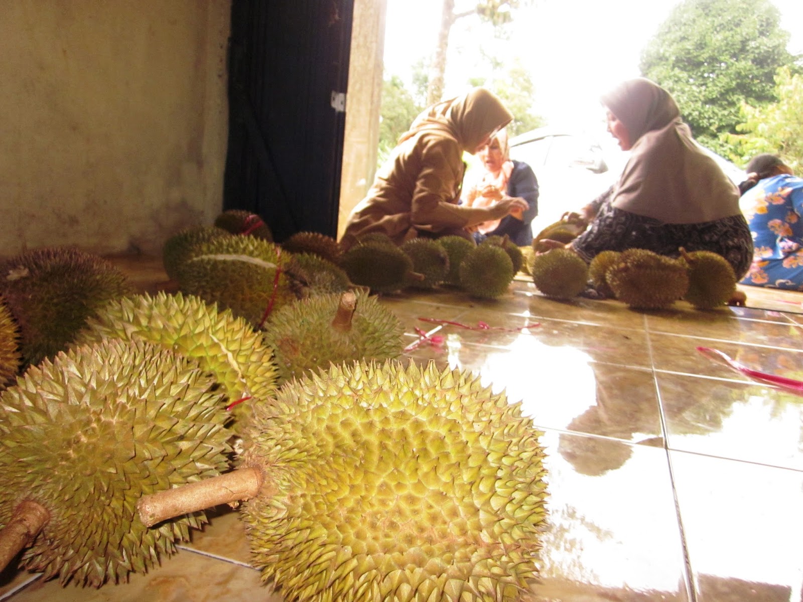 jombang city guide: Wisata Kampung Durian Wonosalam