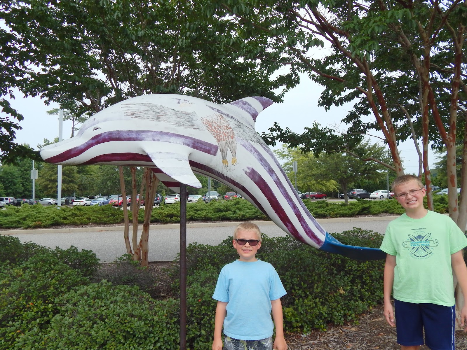 The Great Virginia Beach Dolphin Quest