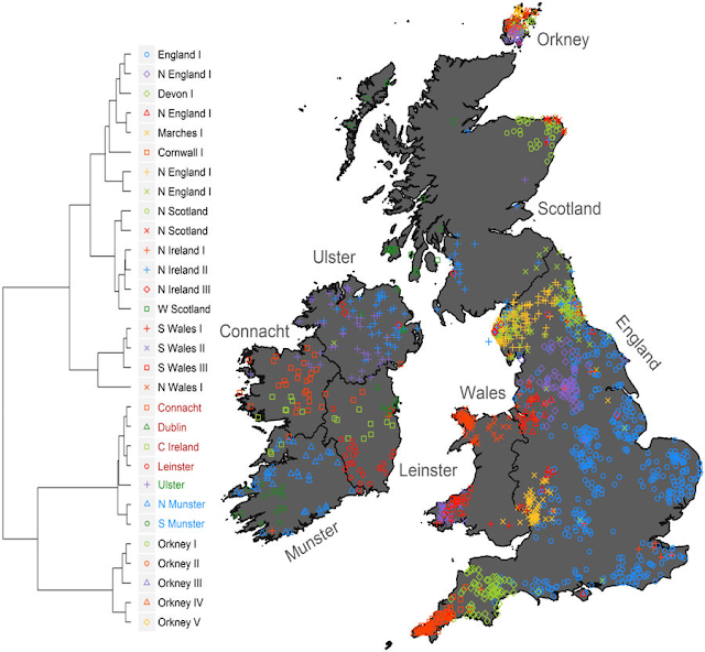 CivilCertificates.ie: Study Shows More Viking DNA In Ireland Than Wales ...
