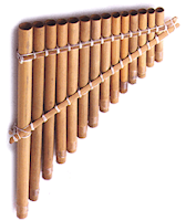 Adriana y Bayron: Instrumentos de la música andina