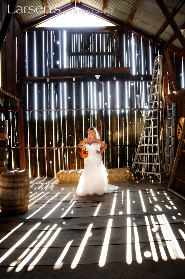 LARSEN'S PHOTOGRAPHY: CALPELLA WEDDING PHOTOGRAPHY : TESTA HOUSE VINEYARDS