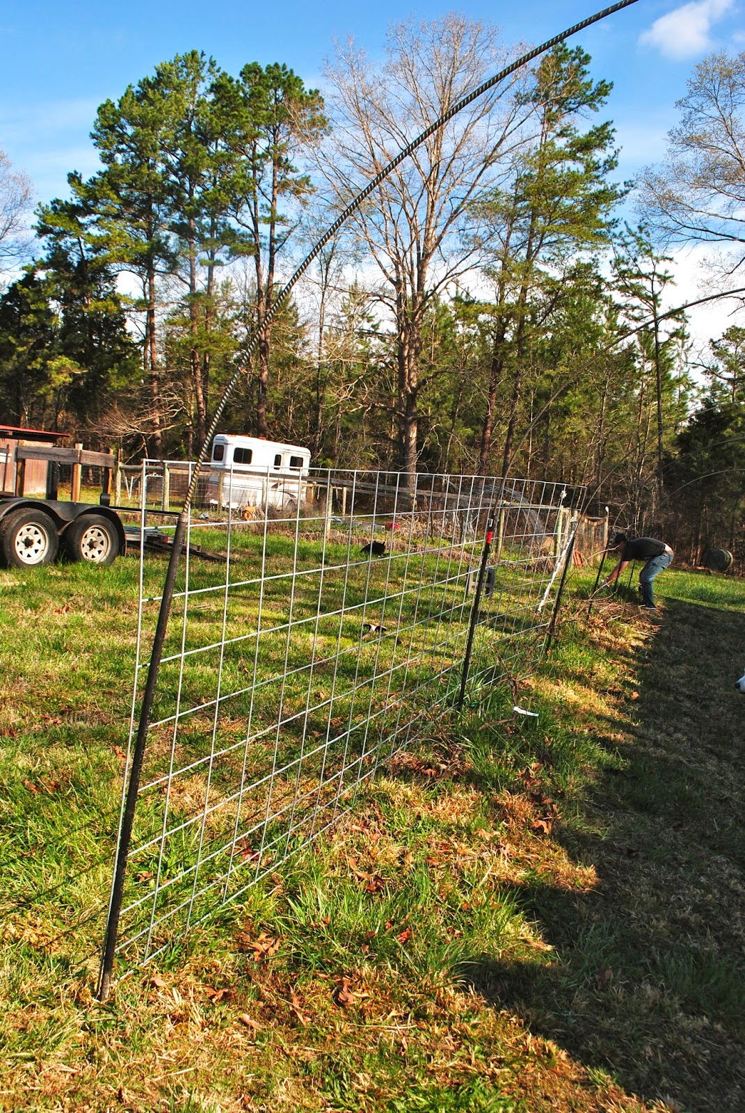 Adventures on Zephyr Hill Farm: DIY Rebar Grape Arbor