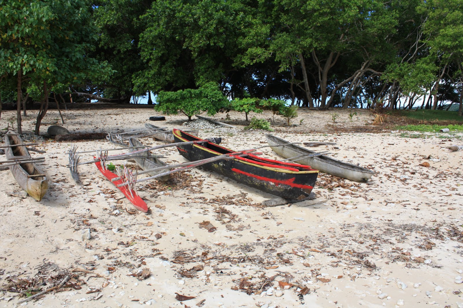 Emily Grace: Vao Island, Malekula