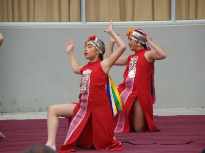 -Arte Indígena-: Danza