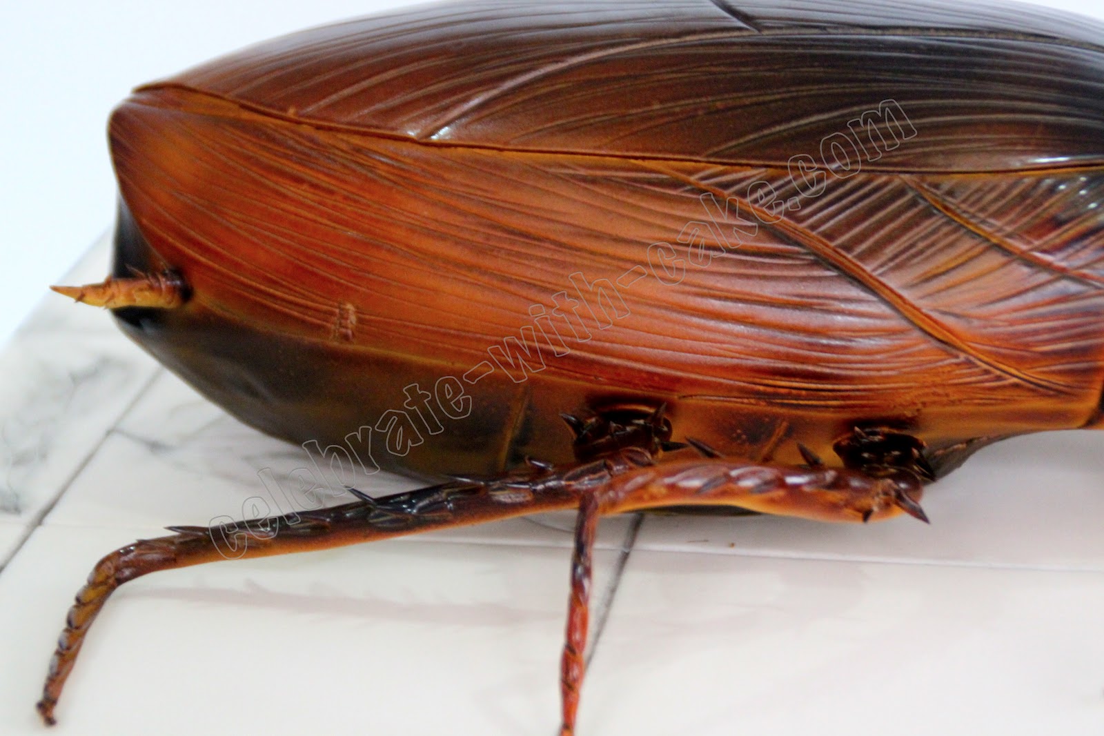 Sculpted Cockroach Cake