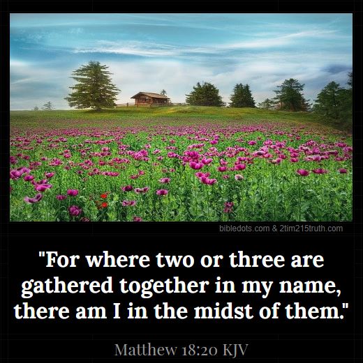 2 Timothy 2:15 Truth: Verse of the Day: Matthew 18:20 KJV