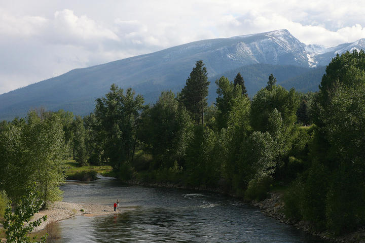 Un río sano es vital para el ecosistema