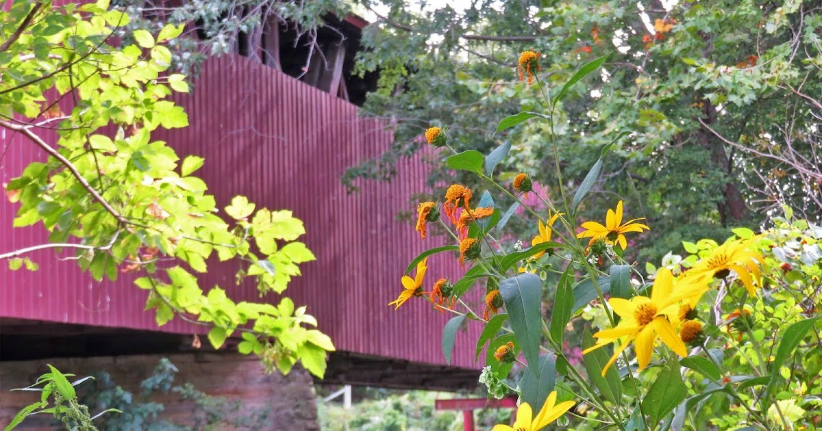 Geographically Yours: Roann, Indiana, USA