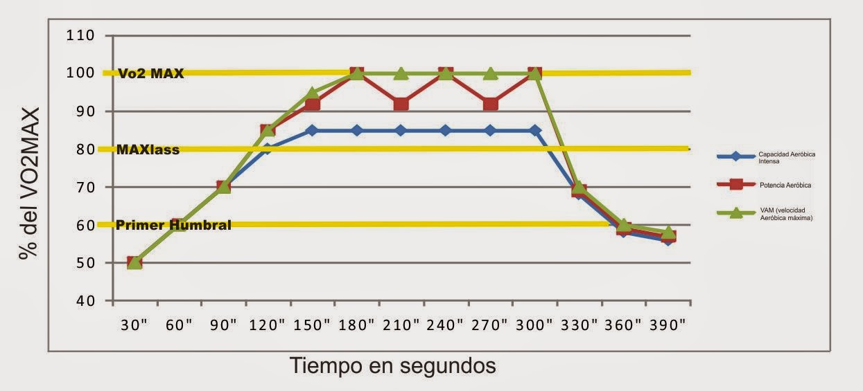 FISIOLOGÍA DEPORTIVA PARA PRINCIPIANTES: MVO2 - Máximo Consumo de Oxigeno