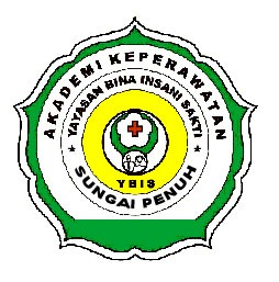 AKPER BINA INSANI SAKTI SUNGAI PENUH: Logo Akper