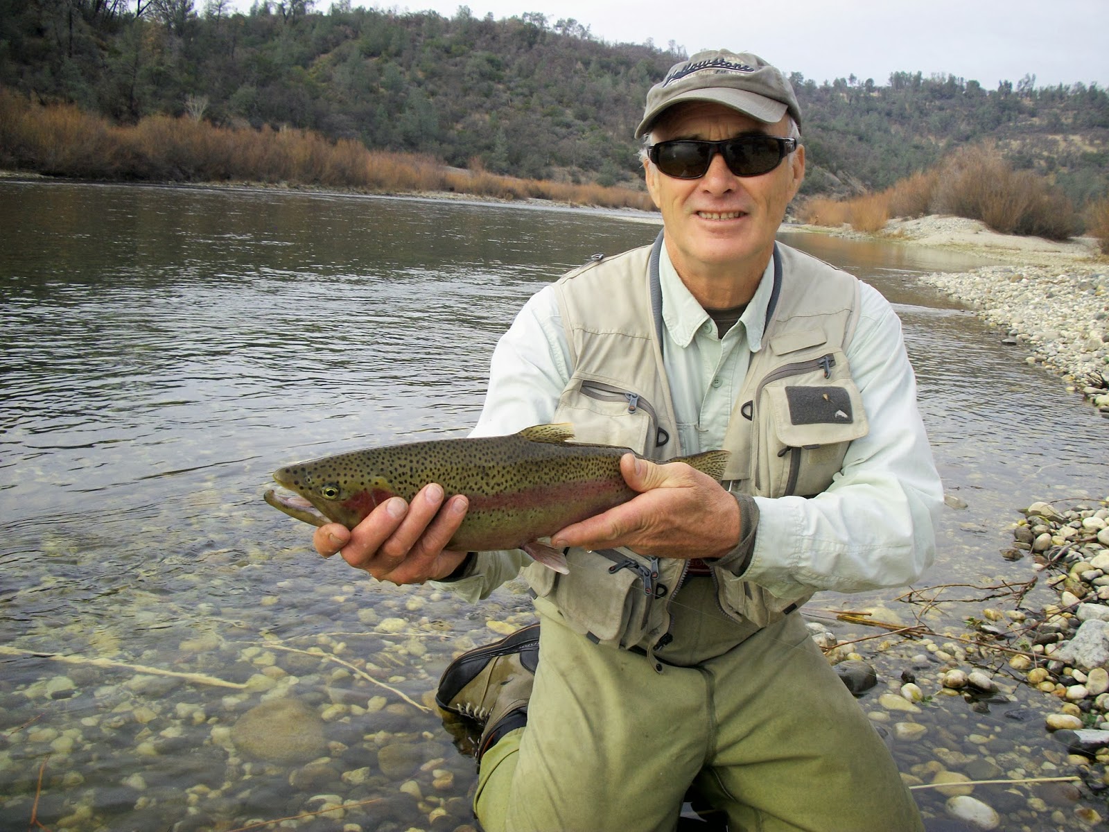 Trout Fishing Yuba River at Michiko Durbin blog
