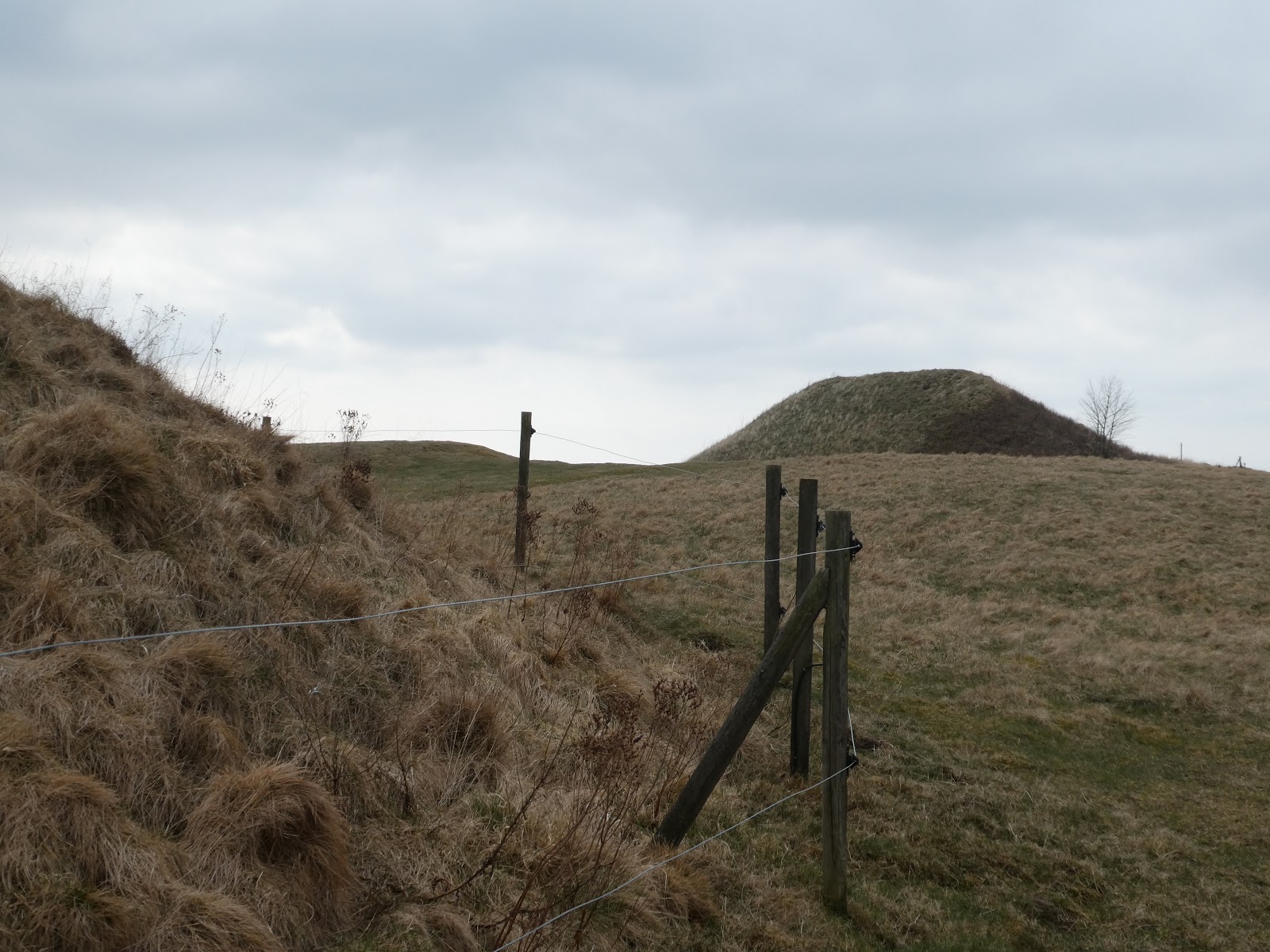 Skånska Resor: Västra Karaby backar