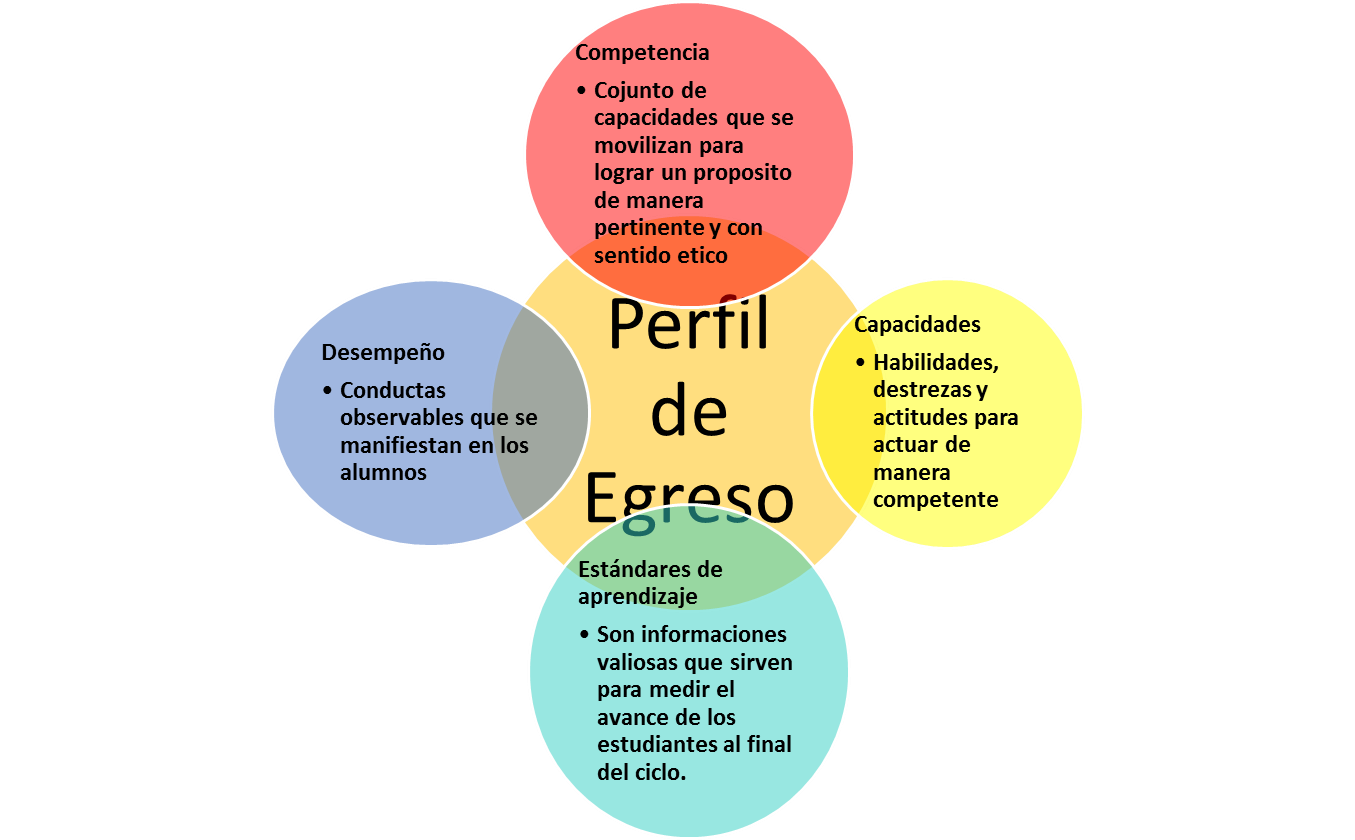 Elizabeth con el Curriculo Nacional: Definiciones clave que sustentan ...