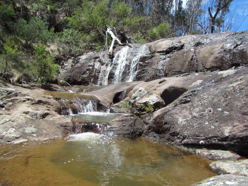 Dzung Nguyen's Blog: Mt Cobbler Walk