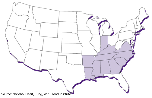 /Bet you didn’t know?