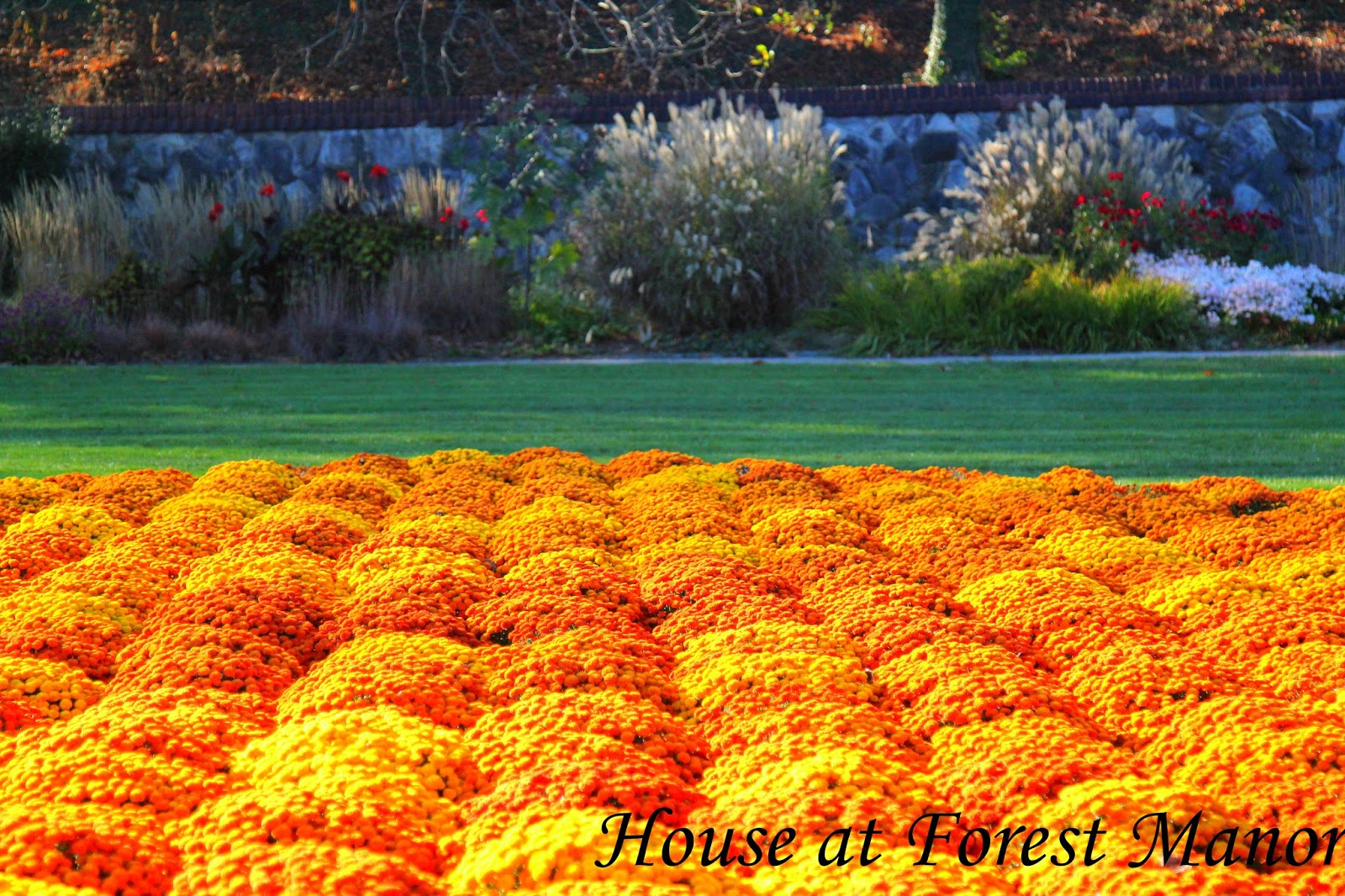 House at Forest Manor: Autumn at Biltmore Gardens