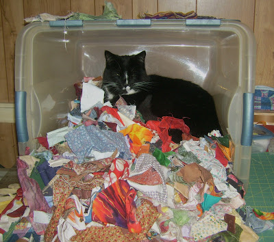 VROOMANS QUILTS: Cats on Quilts - Pets on Quilts Show