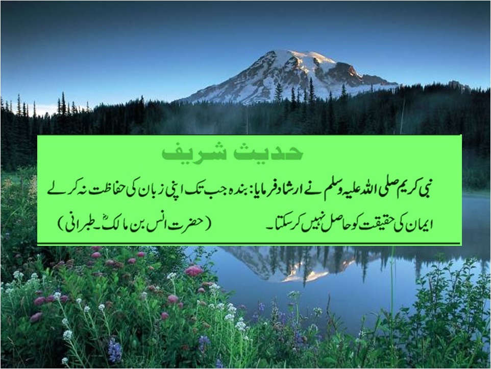 Beautiful Hadiths and Islamic Collection
