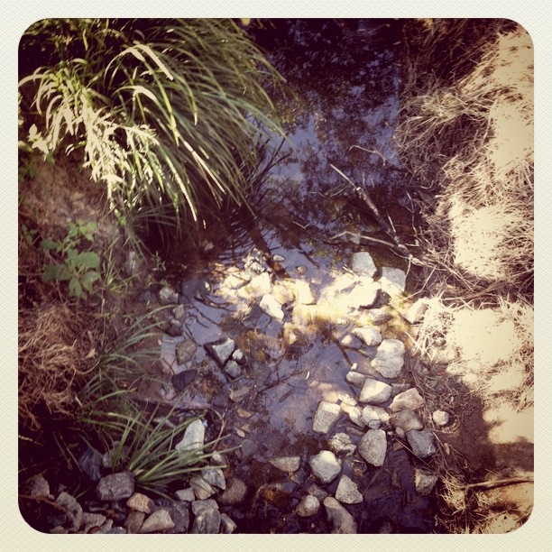 Leaving Is Never Easy: Wittonga Park, Hilder Road, The Gap