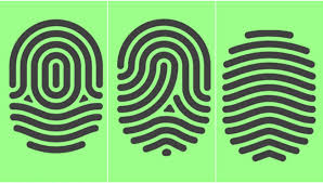 Clasificación de dactilogramas