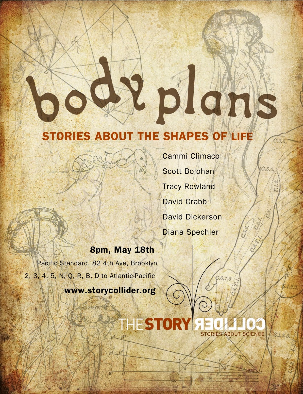 david crabb: The Story Collider: Body Plans