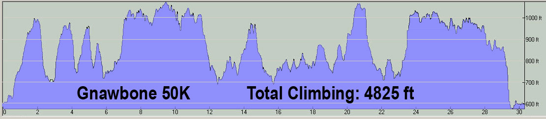 Through a Running Lens: Quest for the Buckle Part 2: Dances With Dirt ...