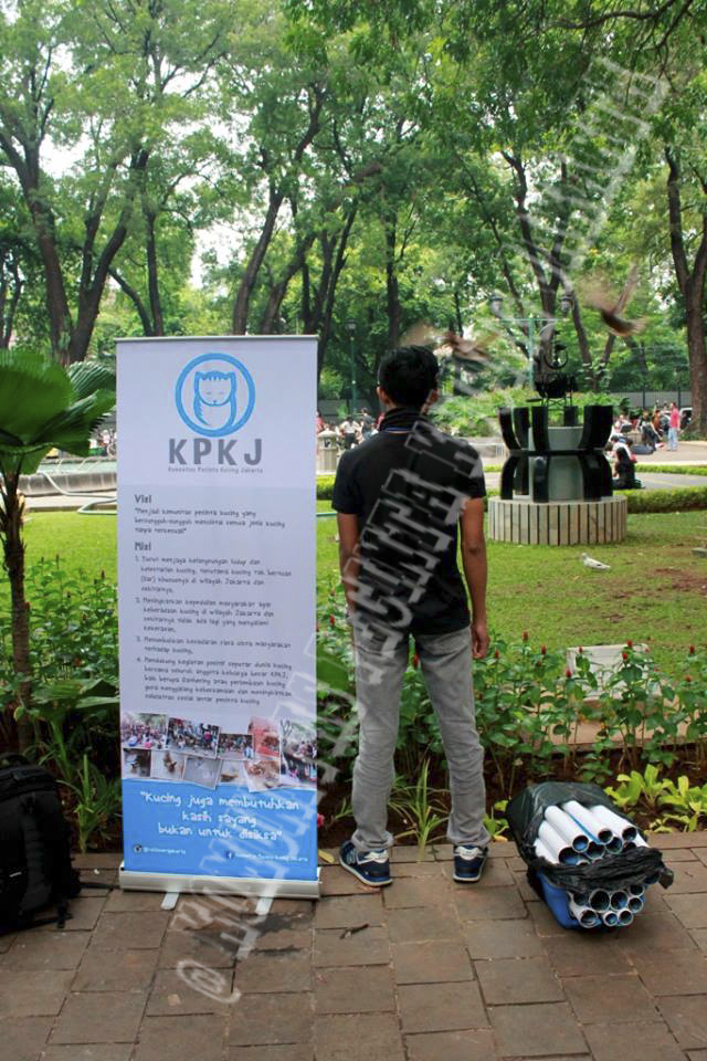 Komunitas Pecinta Kucing Jakarta (KPKJ)