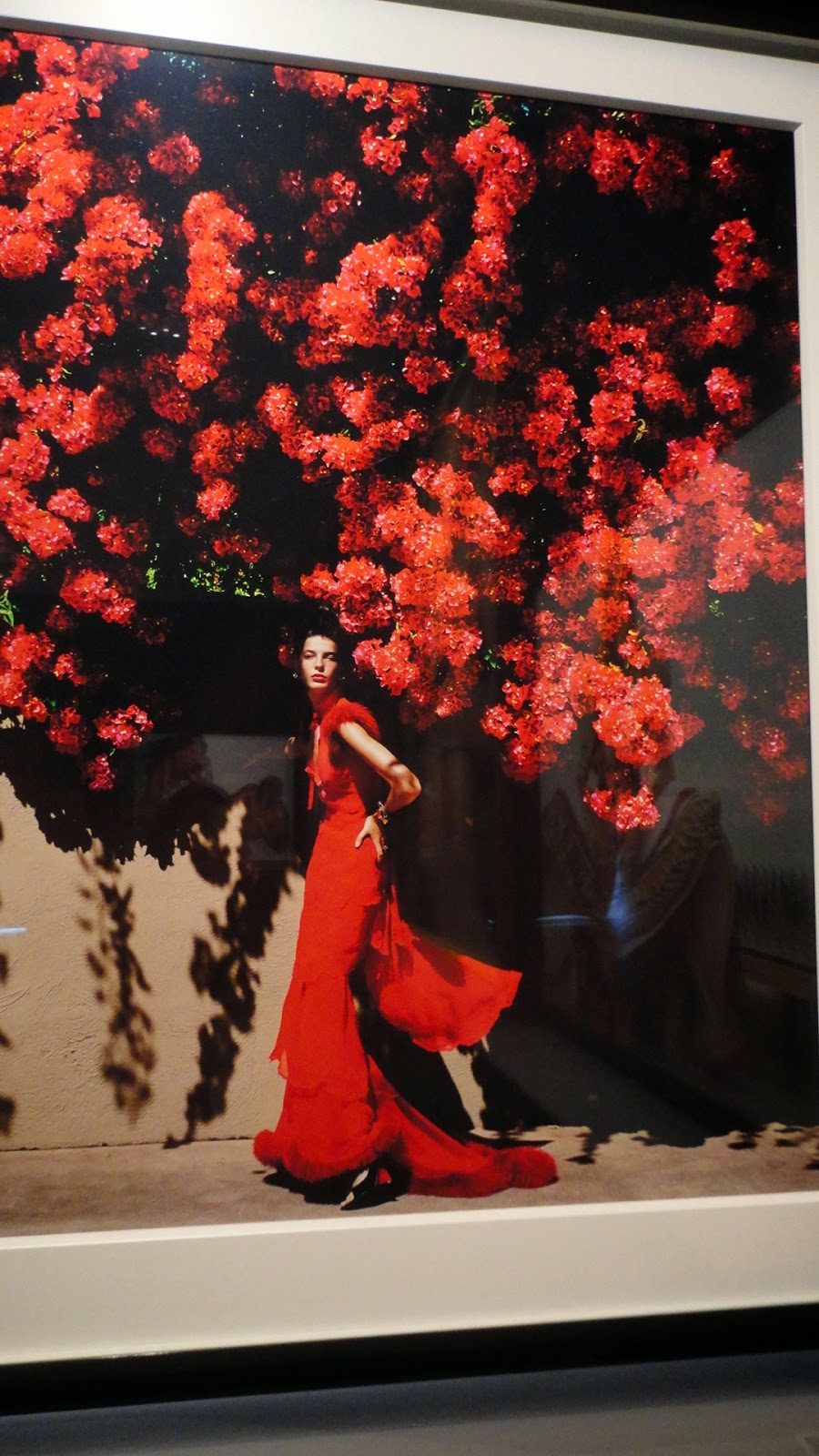 Fashion Portfolio: Mario Testino "In your face"