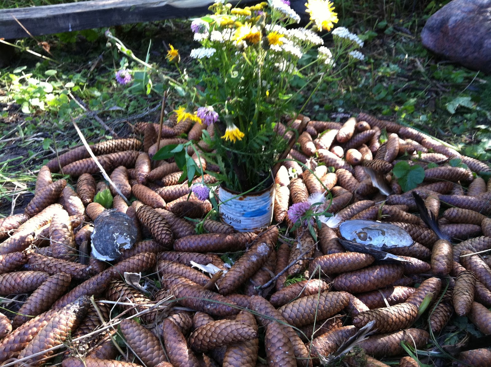 Foraging&Gardening in The City: Hanna Rantala