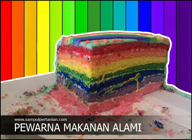 Pewarna Alami Makanan, Inilah Materi Yang Dapat Digunakan