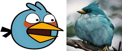 Nama Tokoh dan Karakter Angry Birds - Media Belajarku