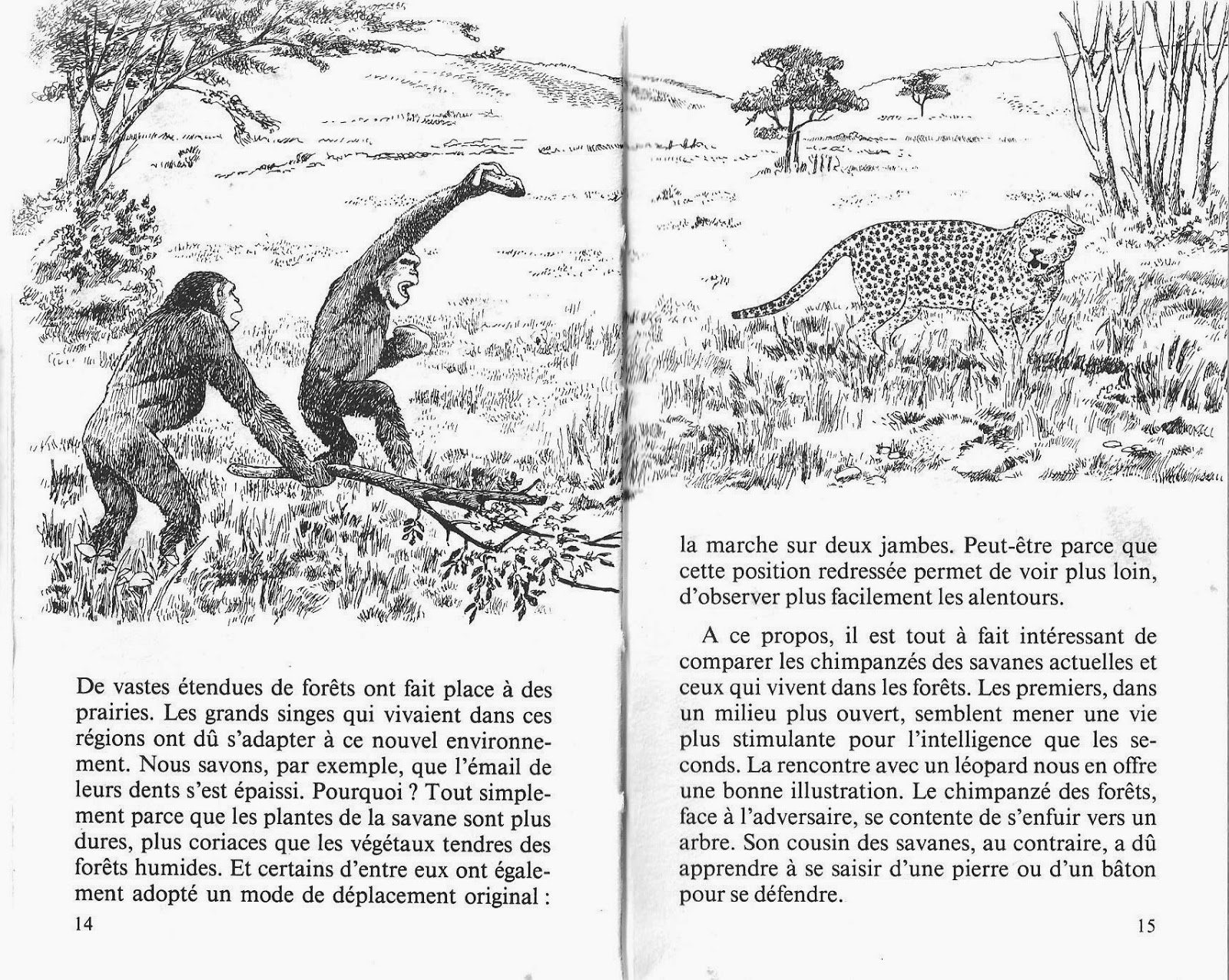 Leçons de choses: Les premiers hommes (Jean-Jacques Hublin)