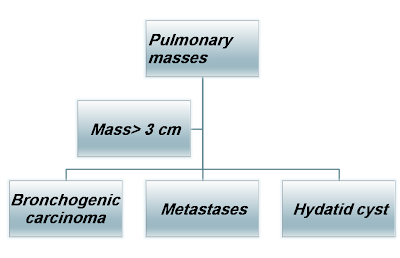 Radiology Pearls: D.D.of pulmonary masses