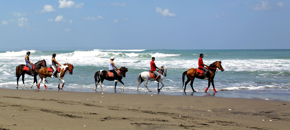 THINGS TO DO IN BALI GUIDE: KUDA P STABLES @ Pererenan