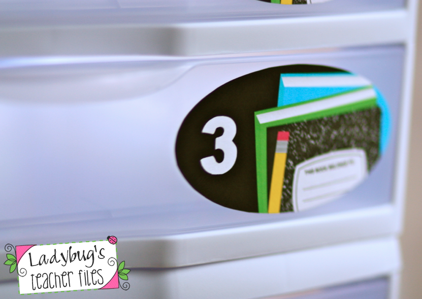 It's All in the Numbers - Ladybug's Teacher Files