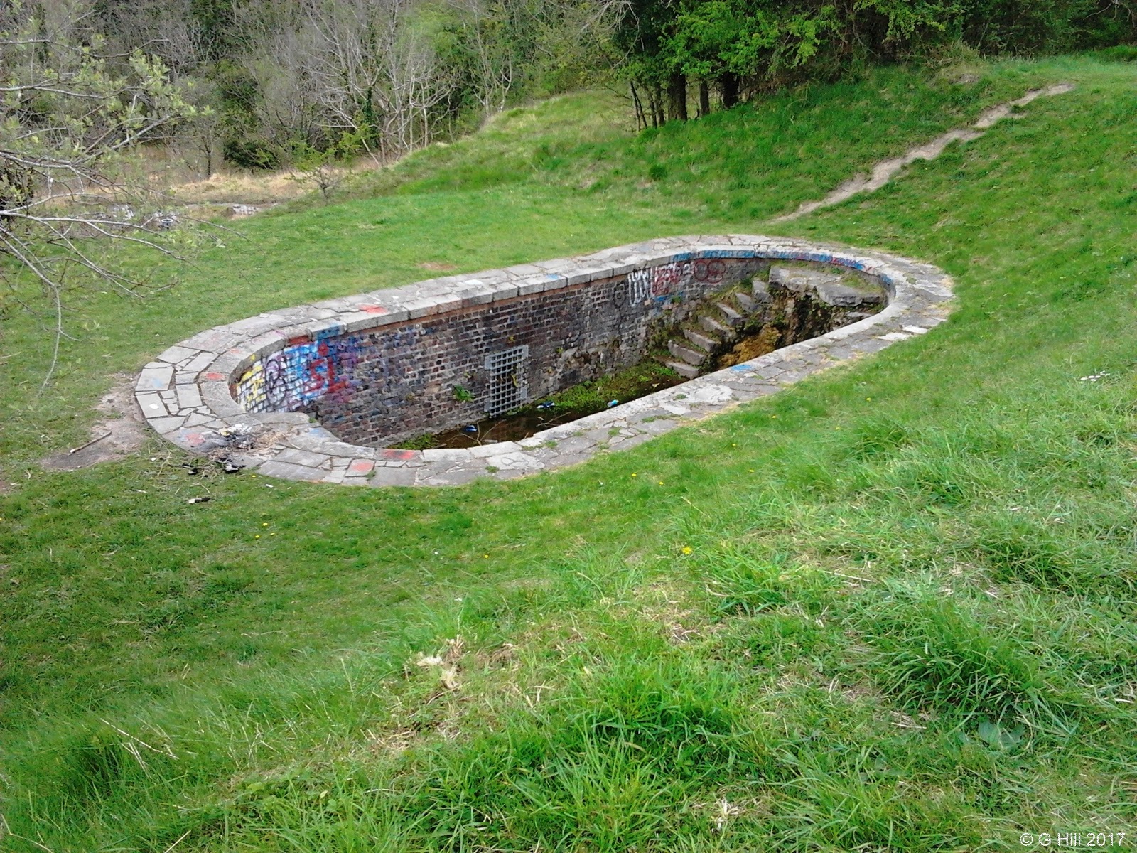 Ireland In Ruins: Leixlip Spa Co Kildare