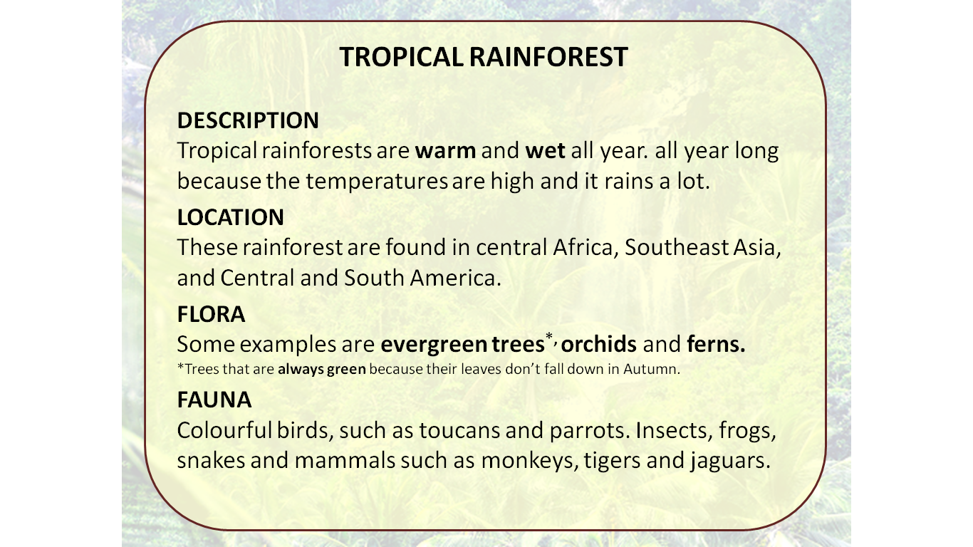 5th Grade - Andrés Segovia: SCIENCE: UNIT 2 - Tropical Rainforests