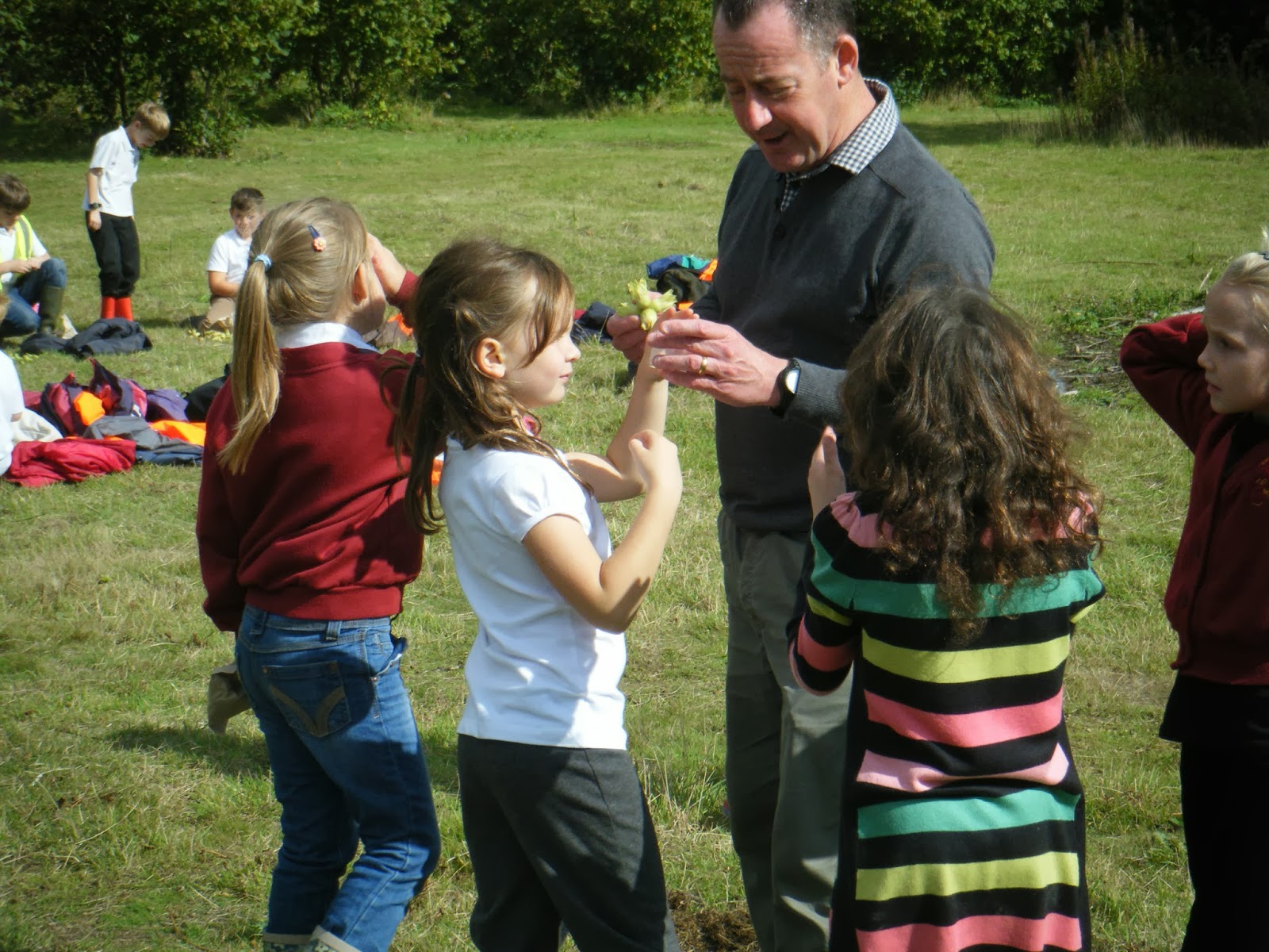 Ightham Mote Cobnuts Project: A Good Year for the Cobnut Plat