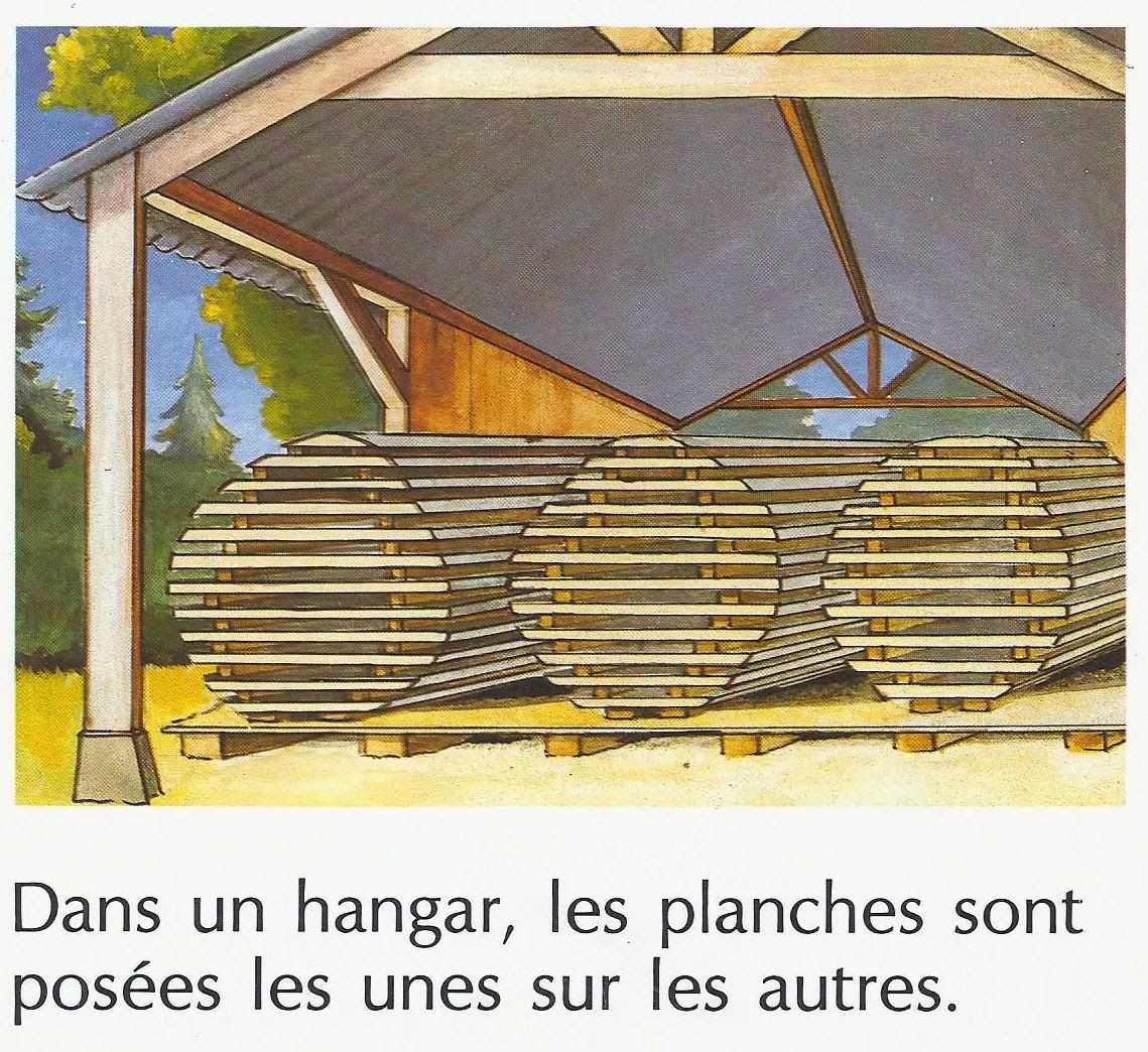 Leçons de choses: Marlène et Hugo, De l'arbre au meuble, éditions M.d.i ...