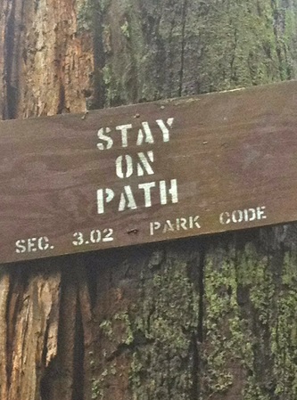 Reflections: Stay On Path