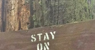 Reflections: Stay On Path