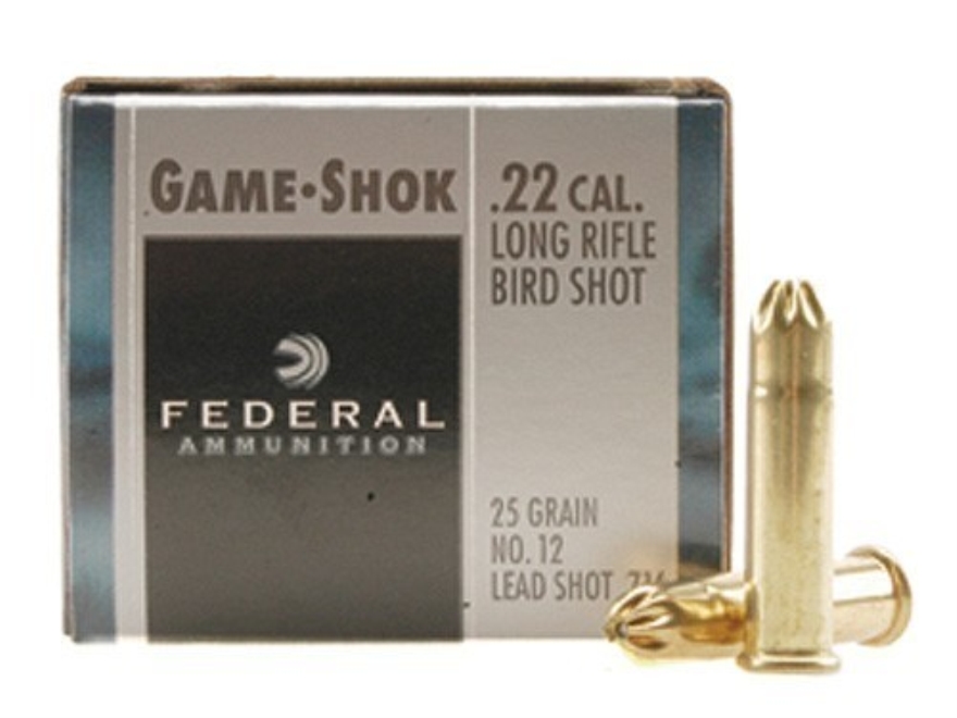The Casual Shooter: Choosing .22LR Ammunition, Part 2