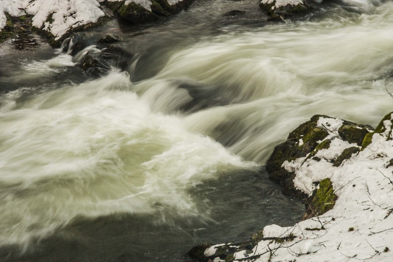 Navarra al Natural: Ríos limpios, libres y vivos.